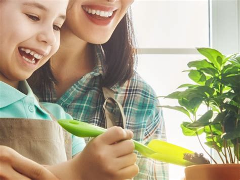 Beneficios De Tener Un Huerto En Casa