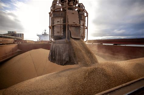 Soja Foi O Produto Do Agro Mais Exportado Pelo Brasil Em 2022 Sou Agro