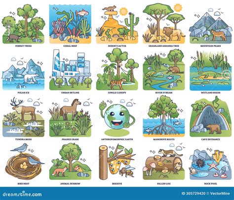 Types Of Habitats And Various Wildlife Fauna Examples Outline