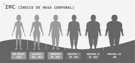 Índice de masa corporal Qué es y como se calcula