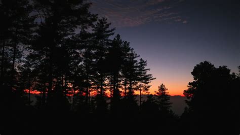Pôr Do Sol Floresta Natureza Foto gratuita no Pixabay Pixabay