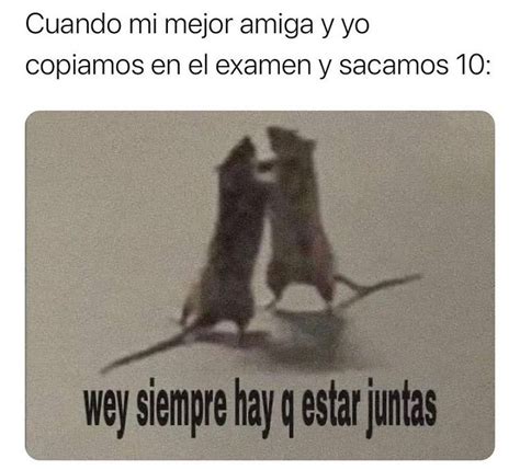 Cuando Mi Mejor Amiga Y Yo Copiamos En El Examen Y Sacamos 10 Wey