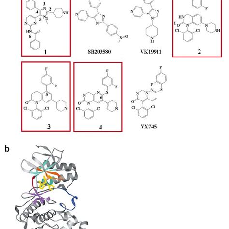Inhibitors Of P A Chemical Structures Of The Compounds Discussed In
