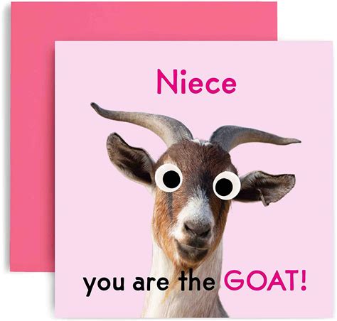 Huxters Birthday Cards For Women Funny Review Niece Happy Birthday