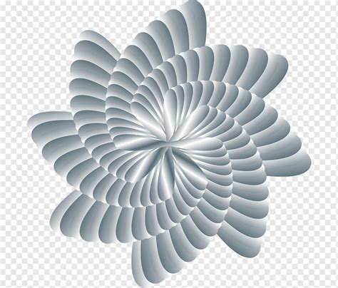 Espiral simetría flor png PNGWing