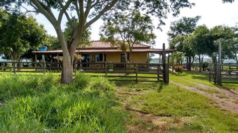 Fazenda A Venda Em Mato Grosso Fazendas Mato Grosso