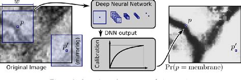 [pdf] deep neural networks segment neuronal membranes in electron microscopy images semantic