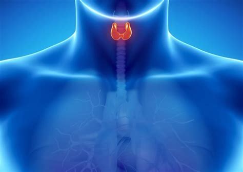 Cirurgia da Tireoide Como é e Indicações NICAP