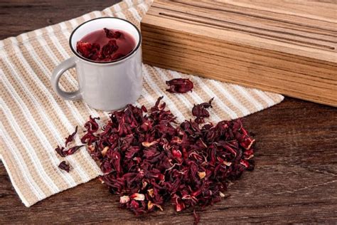 Chá de Hibisco como preparar benefícios e contraindicações YOO MAG