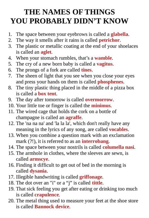 The Name Of Things That You Probably Didnt Know 9GAG