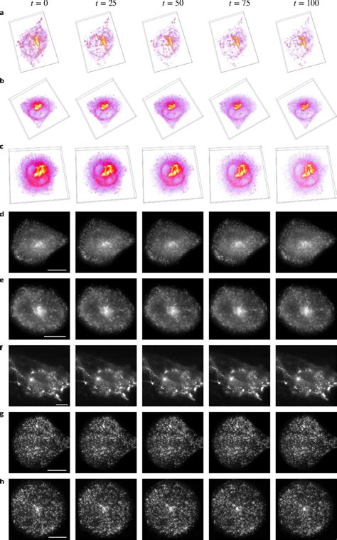 figures and data in a quantitative approach for analyzing the spatio temporal distribution of 3d
