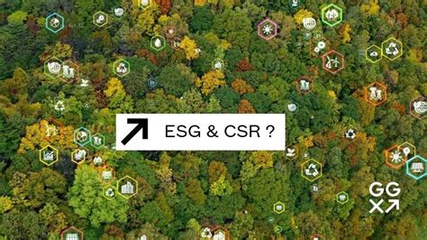 GGX Article What Is The Difference Between ESG And CSR