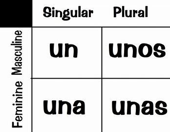 Indefinite Articles Un Una Unos Unas Diagram Quizlet