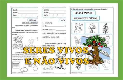 Texto Seres Vivos E N O Vivos Ci Ncias Para O Ano E Ano