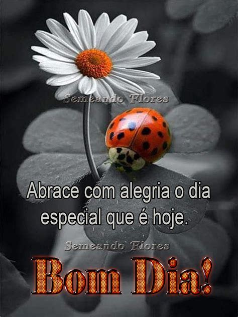 Pin De Antonia Martins Em Mensagens Bonitas Mensagen De Bom Dia