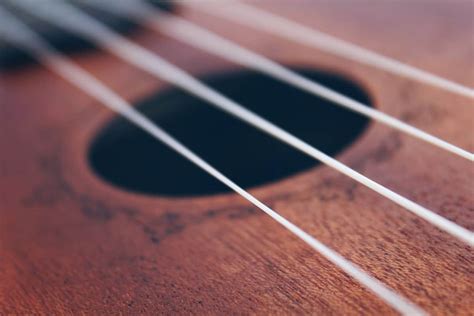 Ukulele String Frequently Asked Questions Materials Names And Tunings
