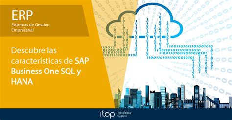 Descubre Las Caracter Sticas De Sap Business One Sql Y Hana