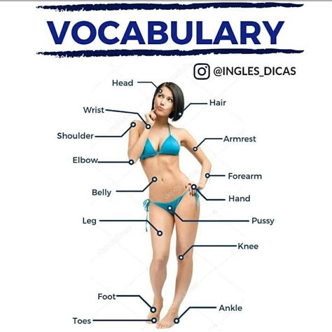 Partes Do Corpo Quer Aprender Ingl S Ent O Siga Nos Ingles Dicas