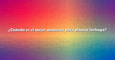 Cuándo es el mejor momento para plantar lechuga Diffusonslascience