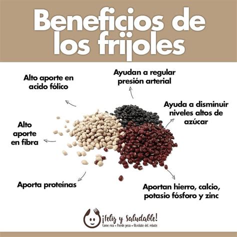 Álbumes 96 Foto Como Se Llama El Frijol De Chicago El último