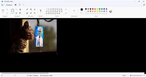 Programma Per Ritoccare Le Foto Gratis Salvatore Aranzulla