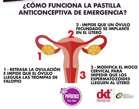 Píldora del día después o Pastilla Anticonceptiva de Emergencia cómo