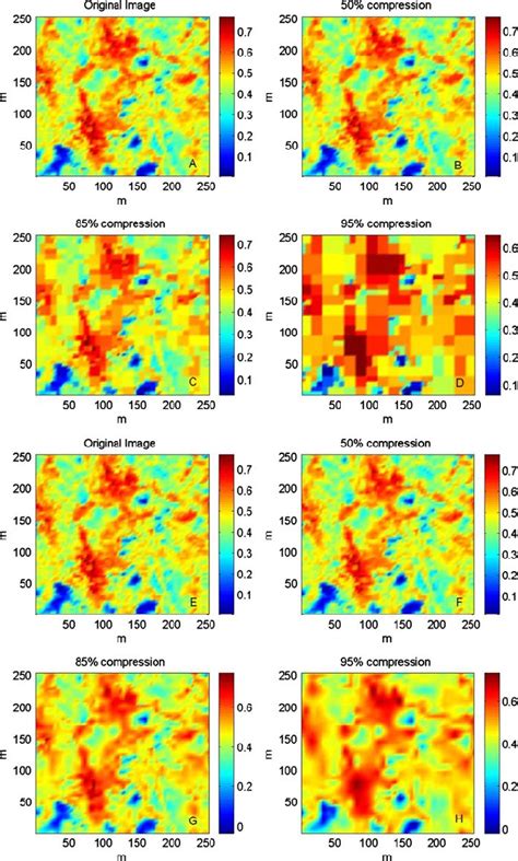 two dimensional haar a d and coiflet e h wavelet compression of a download scientific