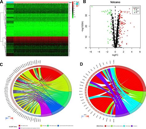Differentially Expressed RBPs In Kidney Renal Clear Cell Carcinoma And