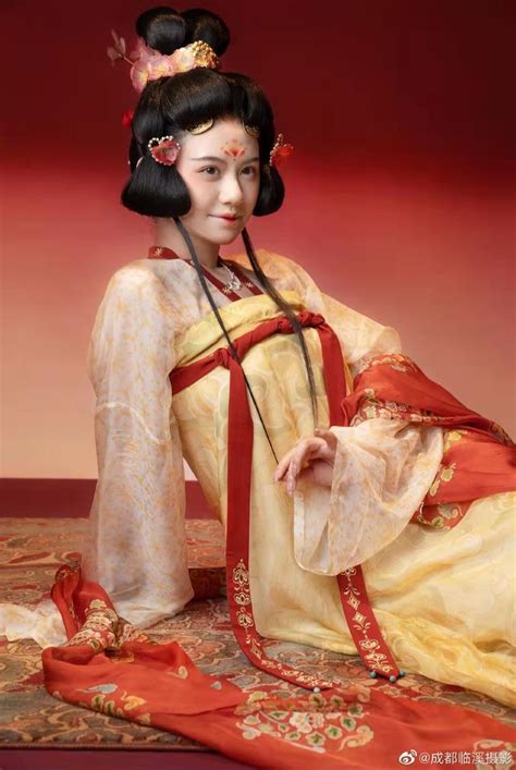 Hanfu China Tang Dynasty Chinese Traditional Clothing Hanfu