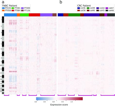Heatmap Visualizing Inferred Cnv Results Obtained Using Copykat