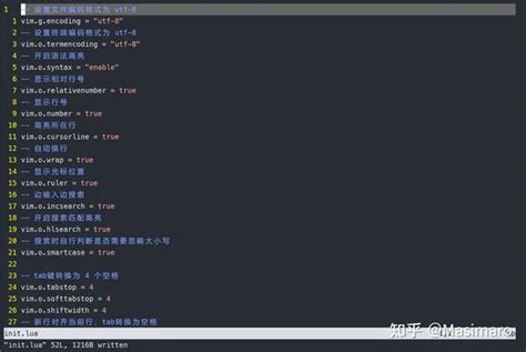 从零开始配置 vim 9 ——初始配置 知乎