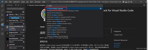 vscode为什么下载了汉化插件却不生效？ vscode设置中文为什么不生效 csdn博客