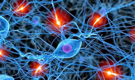 Redes neuronales que clasifican imágenes para adultos