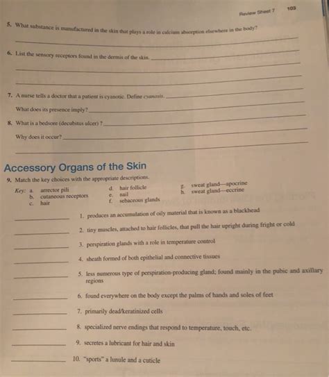 Exercise 7 The Integumentary System Review Sheet