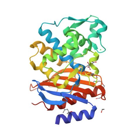 RCSB PDB 5EOE Crystal Structure Of Extended Spectrum Beta Lactamase
