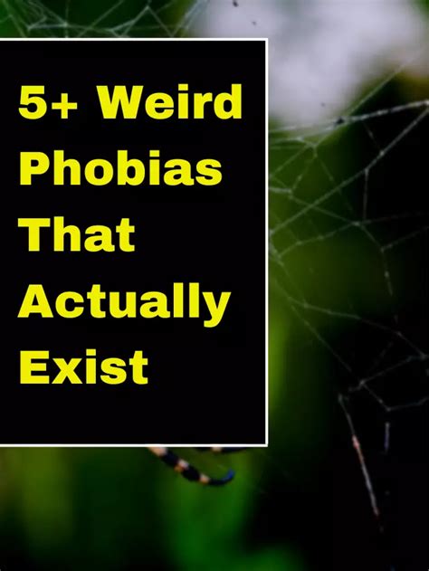 5 Weird Phobias That Actually Exist TECHY BAG