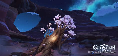 Photographer Of Tevyat Realm Of Farakhkert Gavireh Lajavard Genshin