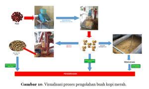 PENGOLAHAN BUAH KOPI BERORIENTASI PASAR Coffee Cacao Training Center
