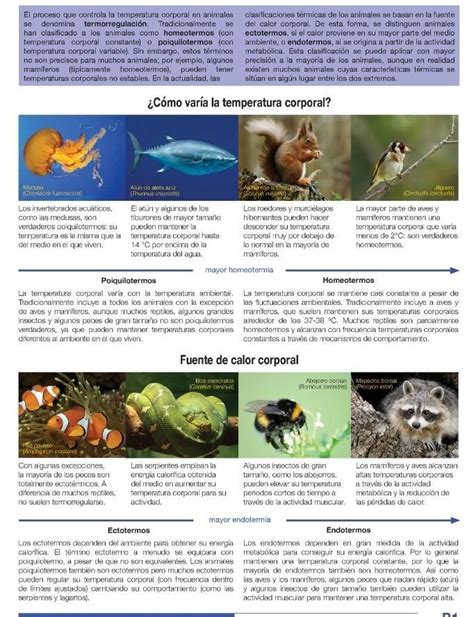 Cual Es La Diferencia Entre Los Terminos Endotermia Y Homeotermia