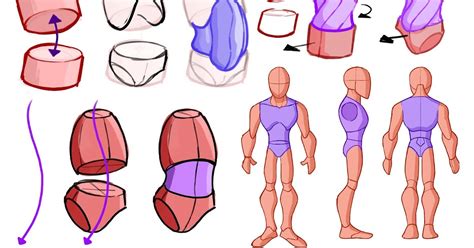 Learning Drawing Principles Torso