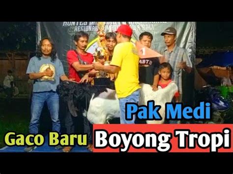 JUARA KONTES KAMBING PE KELAS C JANTAN PIALA BUPATI SLEMAN 2023