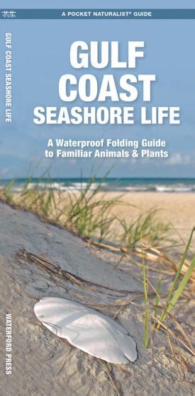 Gulf Coast Seashore Life 2nd Edition Pocket Naturalist Guide