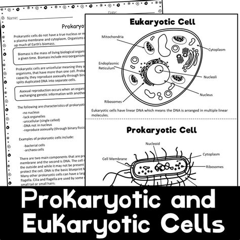Prokaryotic Cell Worksheets