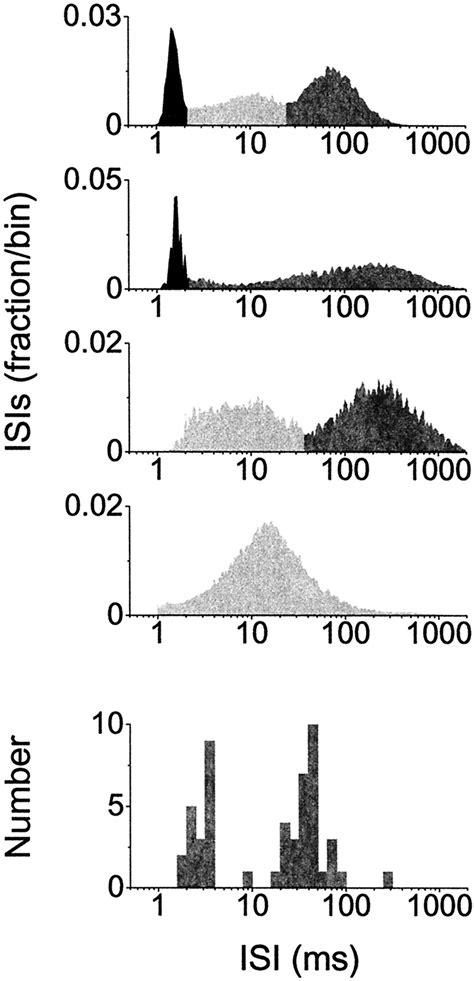 interspike intervals receptive fields and information encoding in primary visual cortex
