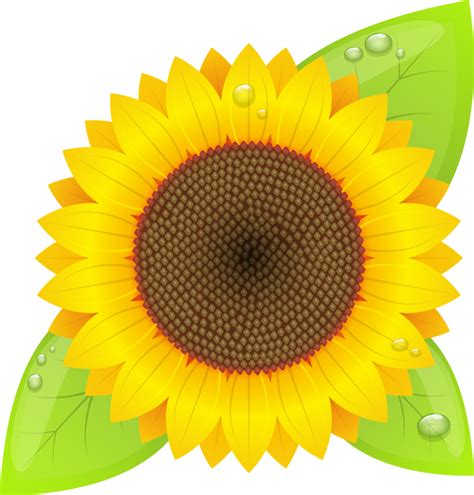 Top Imagen Girasol Png Hd Abzlocal Mx