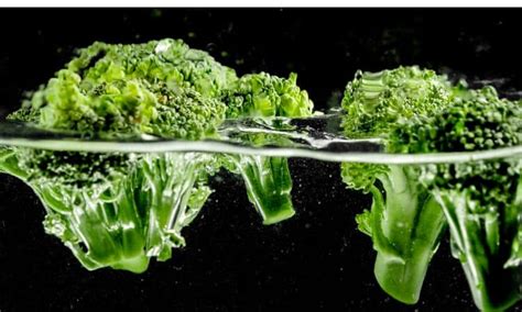 10 beneficios del brócoli para la salud Tienda Bodylogic