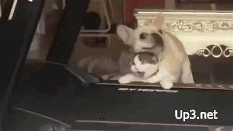 Accident Gifs Page Wifflegif 9268 The Best Porn Website