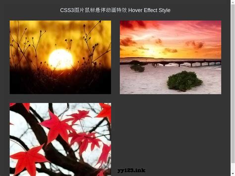 css3鼠标悬停图片遮罩动画js特效 css3鼠标悬停图片遮罩动画特效 csdn博客