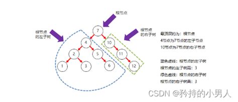 java集合底层之树形数据结构 java 树形结构图 csdn博客