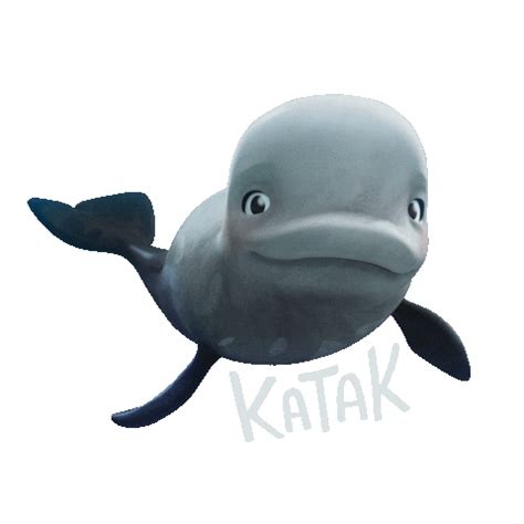 Katak le brave béluga GIFs on GIPHY Be Animated